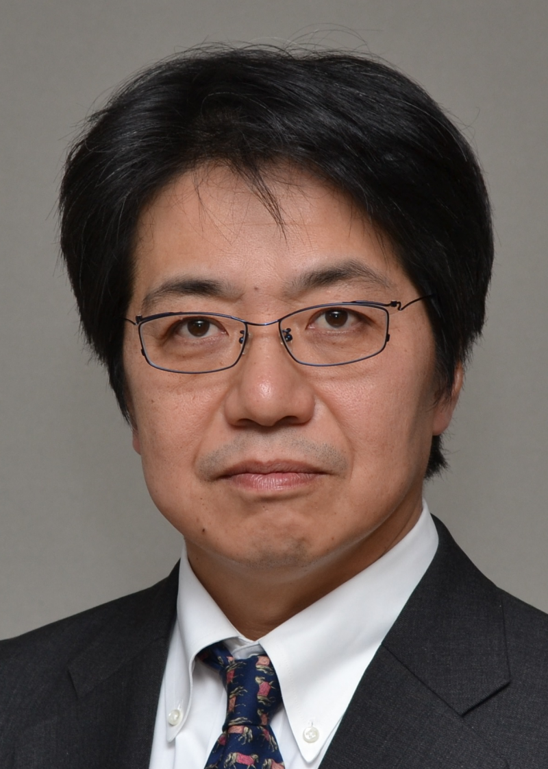 The IACM Fellows Award – IACM.info